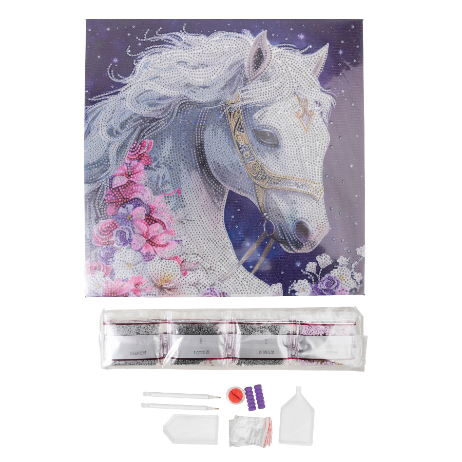 "Mystic Beauty" Crystal Art Canvas Kit 30x30cm – Craft Buddy Trade